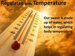 Importance of Water in the Body | PDF