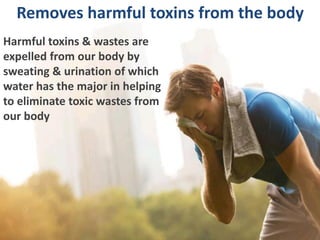 Importance of Water in the Body | PDF