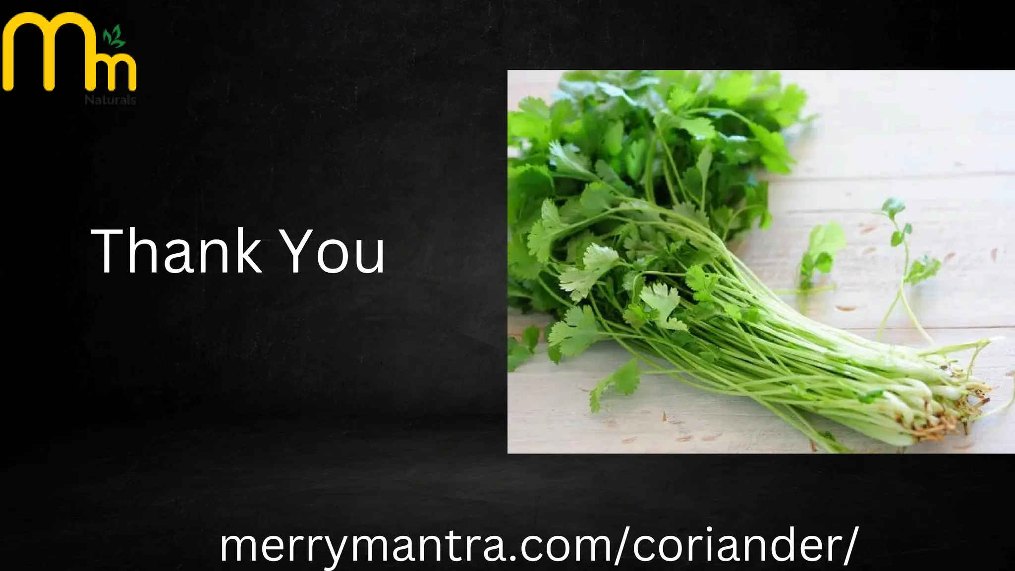 Health Benefits of Coriander Leaves, their types, uses, benefits | PPT ...