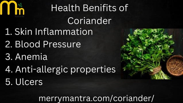 Health Benefits of Coriander Leaves, their types, uses, benefits | PPT