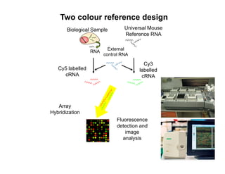 General Principles of Toxicogenomics | PDF