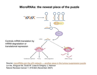 General Principles of Toxicogenomics | PDF
