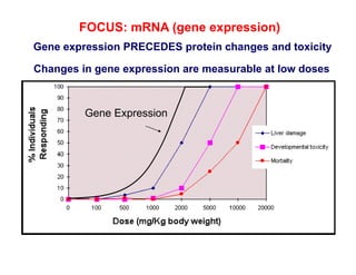 General Principles of Toxicogenomics | PDF