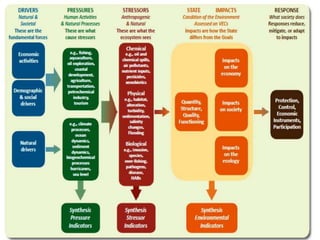 Health card preparation guide of aquatic body | PPT