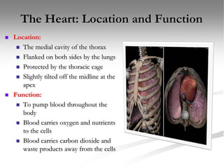 Health Cardiorespiratory sx 2.1.ppt