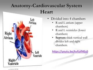 Health Cardiorespiratory sx 2.1.ppt