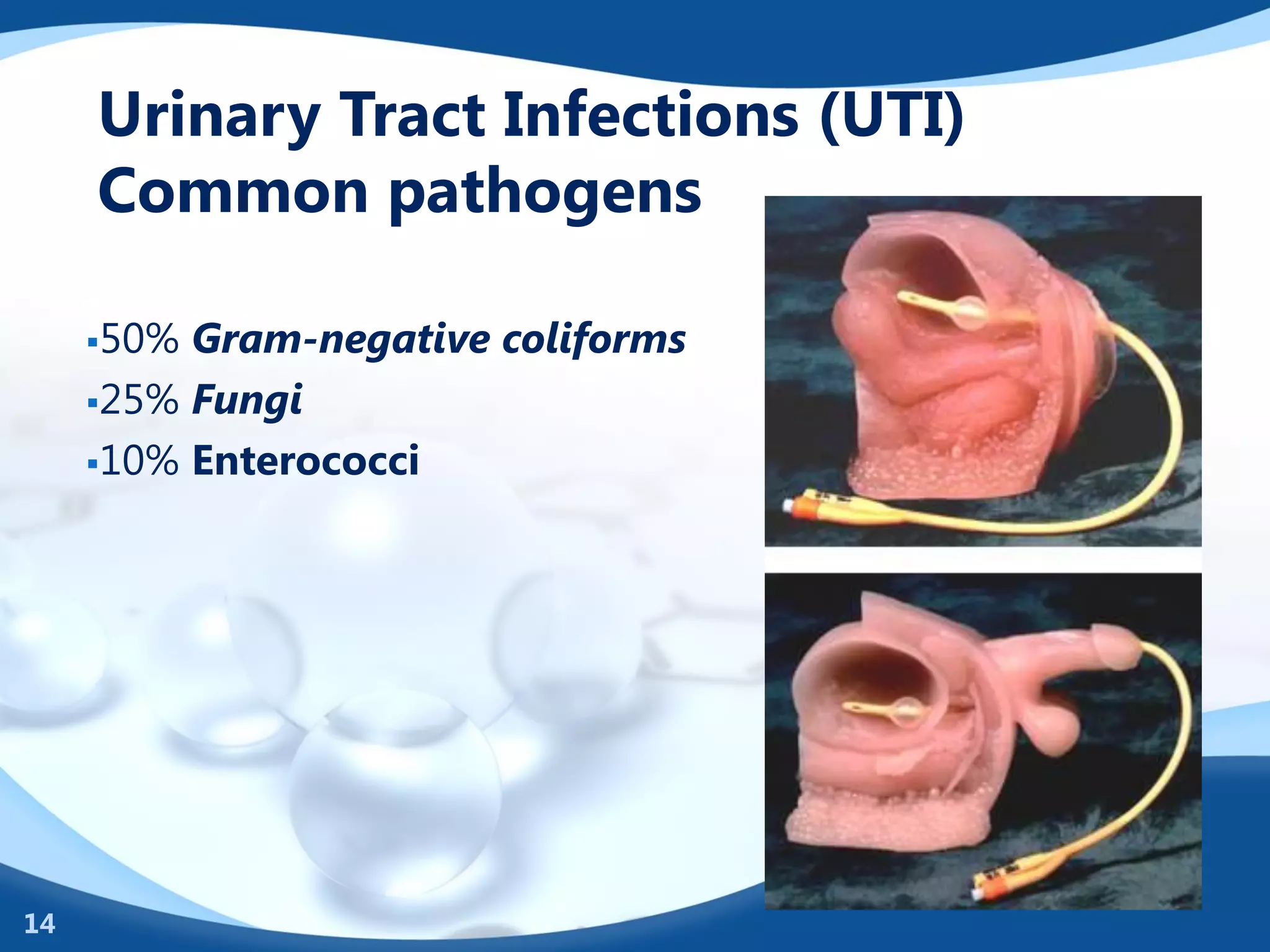 Healthcare associated infections and eskape pathogens | PDF