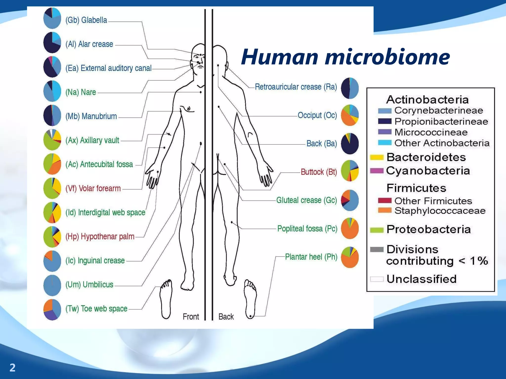Healthcare associated infections and eskape pathogens | PDF