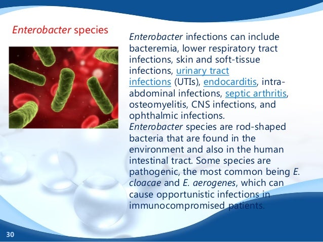 Healthcare associated infections and eskape pathogens