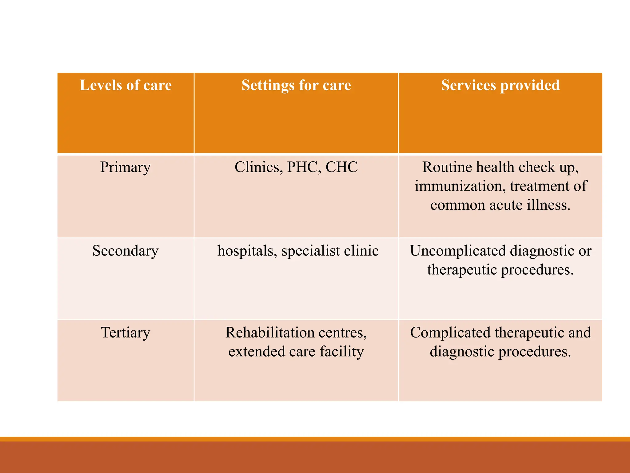 Health Care Delivery System.. (FON).pptx