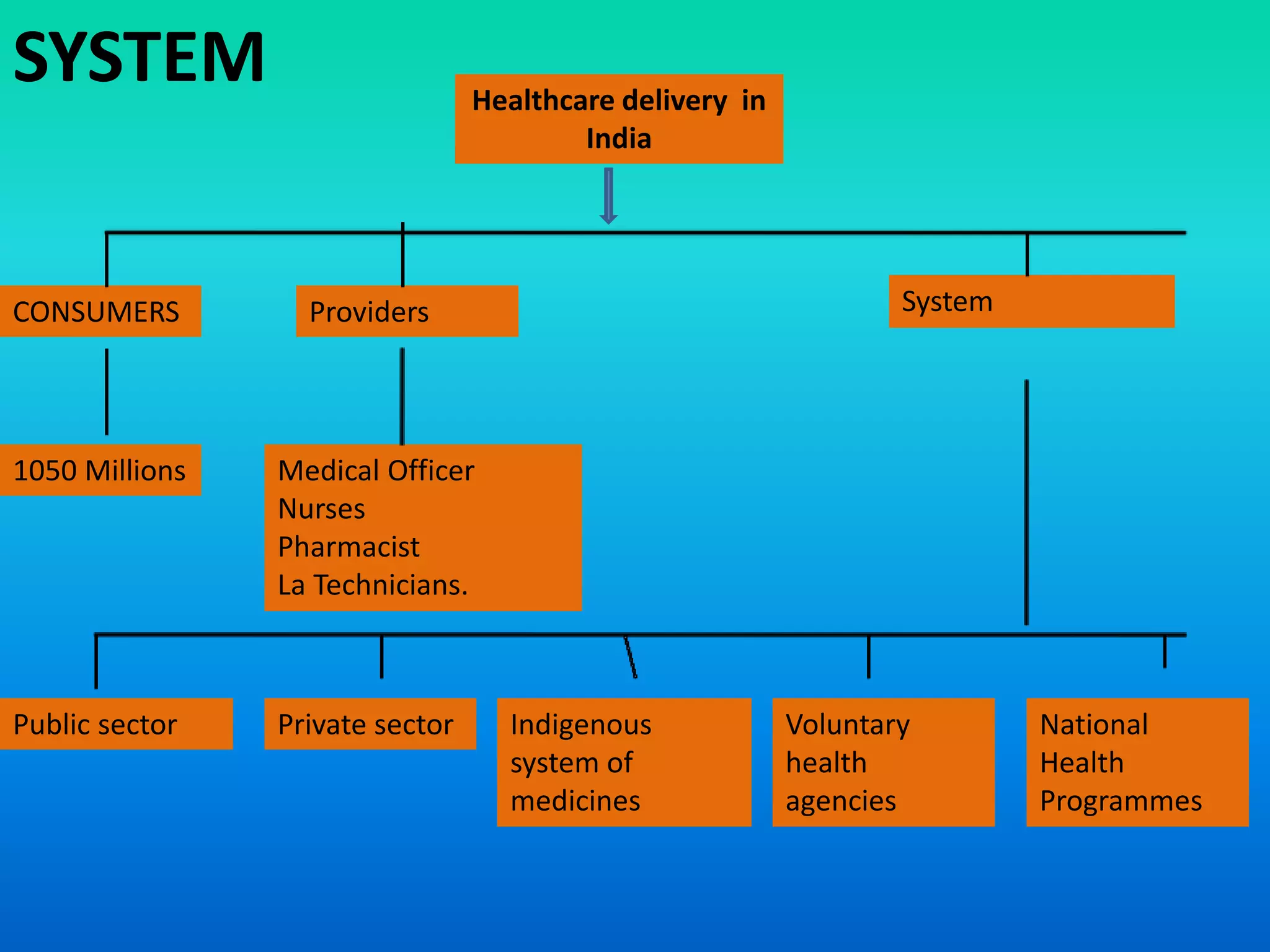 Healthcare delivery system in india | PPTX