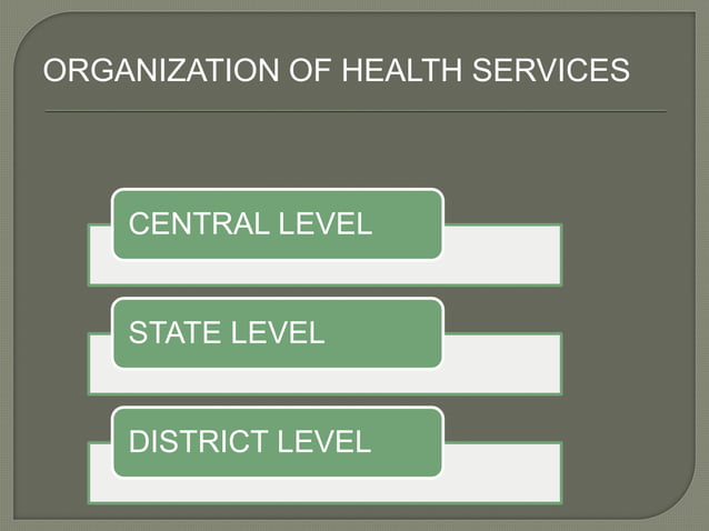 Health care delivery system in india | PPTX