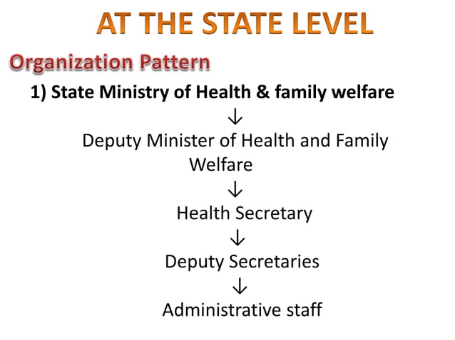 Health care delivery system national and state level ppt | PPTX