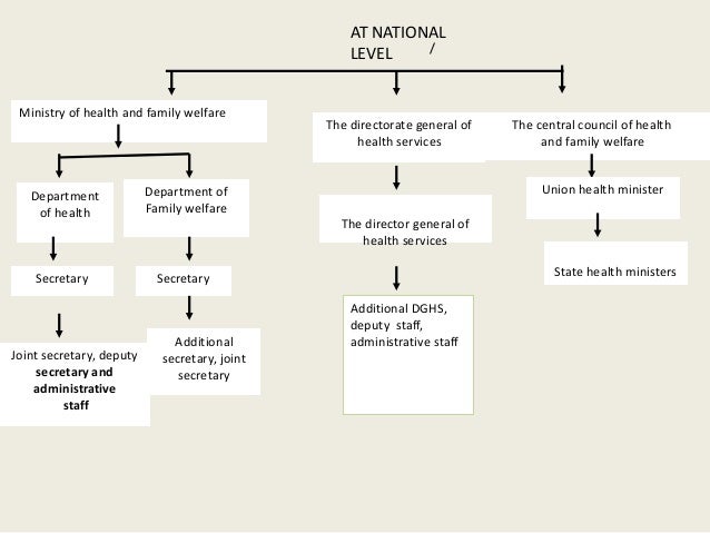 Health care delivery system national and state level ppt
