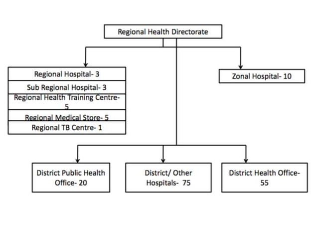 Health care delivery system of nepal | PPTX | Healthcare Industry ...