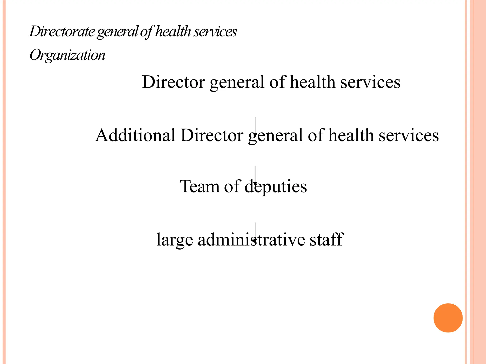 healthcare delivery system ppt.pptx