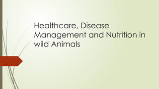 HEALTH CARE, DISEASE MANAGEMENT AND NUTRITION IN wild animals.pptx