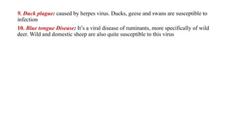 HEALTH CARE, DISEASE MANAGEMENT AND NUTRITION IN wild animals.pptx