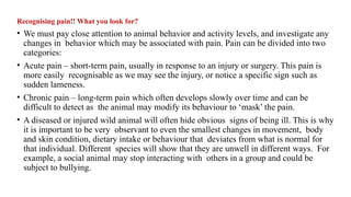 HEALTH CARE, DISEASE MANAGEMENT AND NUTRITION IN wild animals.pptx