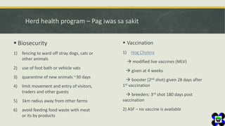 Health care in native pig production (dr. aleli a. collado) | PPT ...