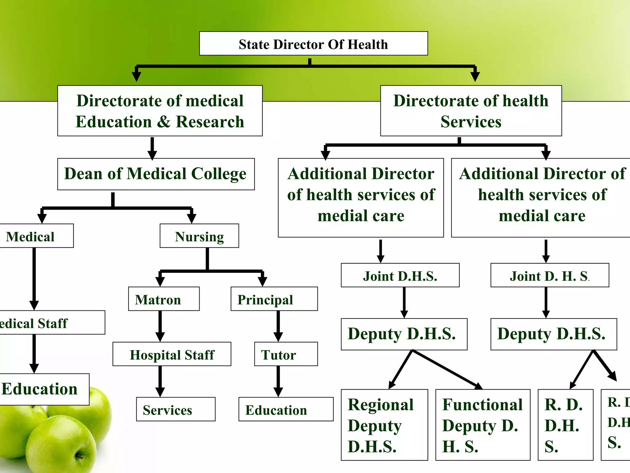 Health care organisation system | PPT
