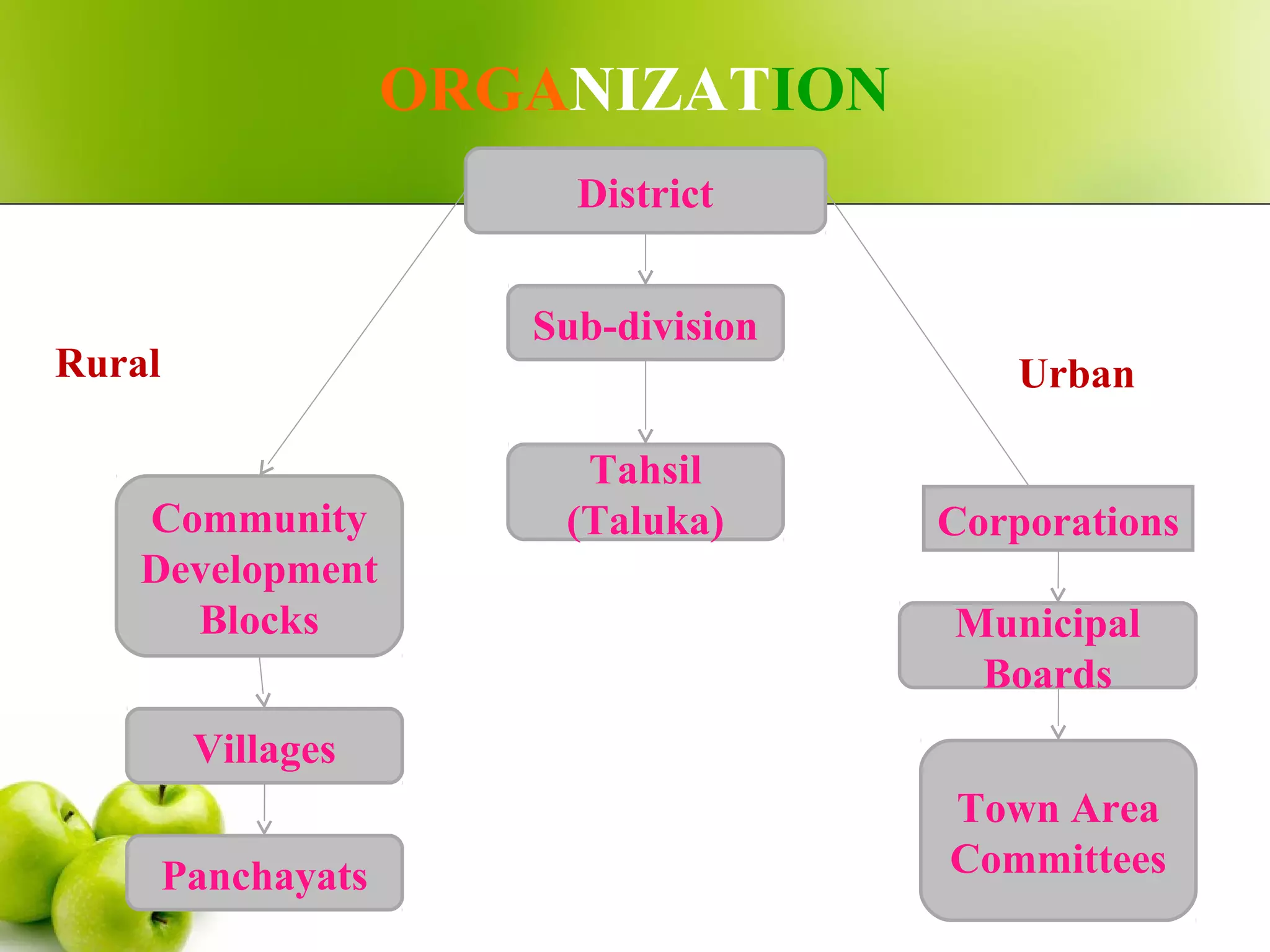 Health care organisation system | PPT