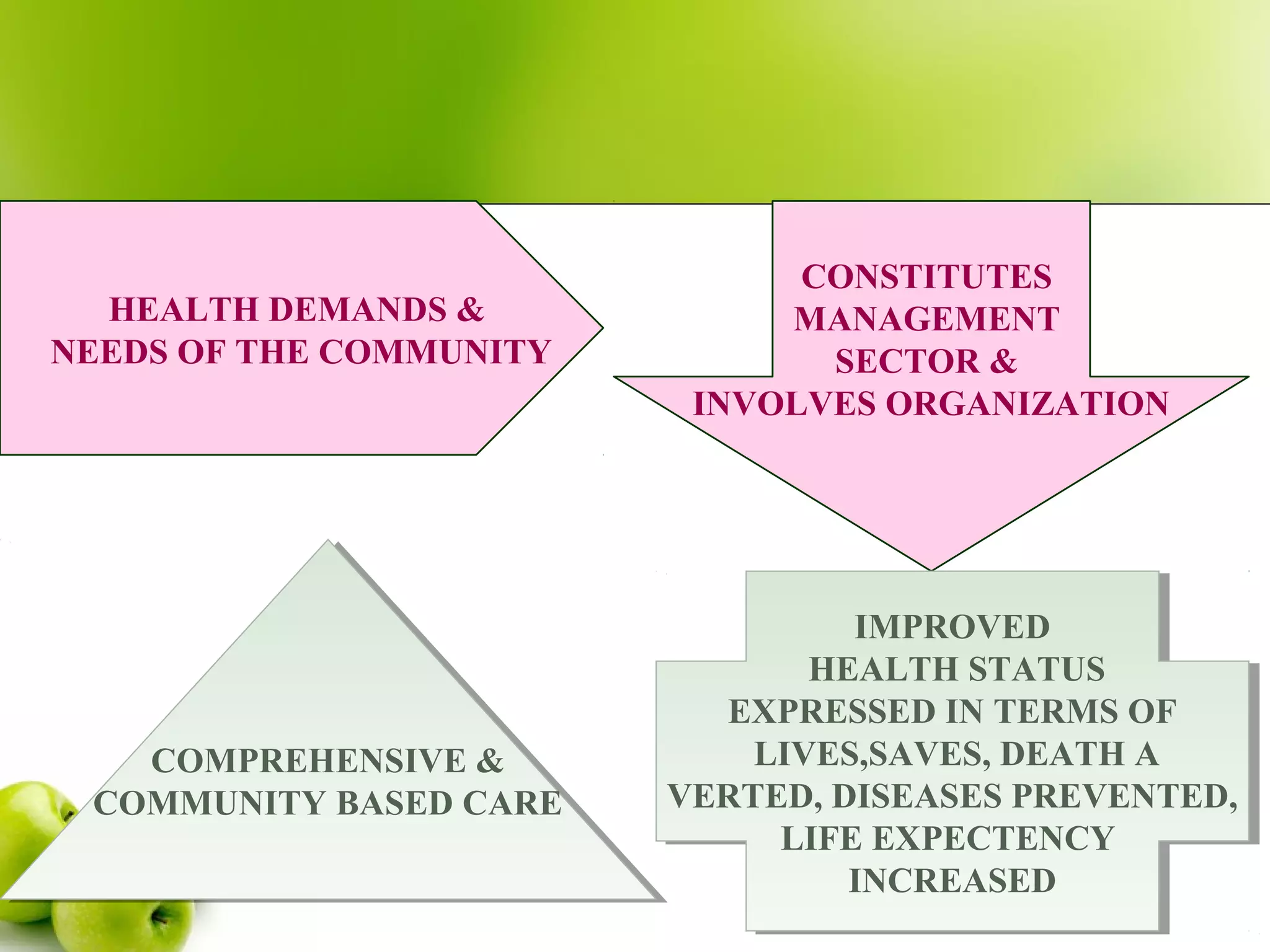 Health care organisation system | PPT