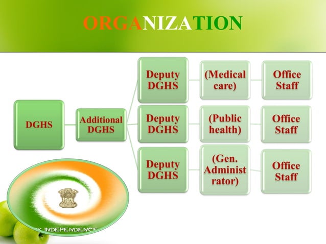 Health care organisation system | PPT | Infectious Diseases | Diseases ...