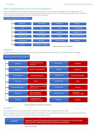 Healthcare products data_cleansing_enrichment_classification_services | PDF