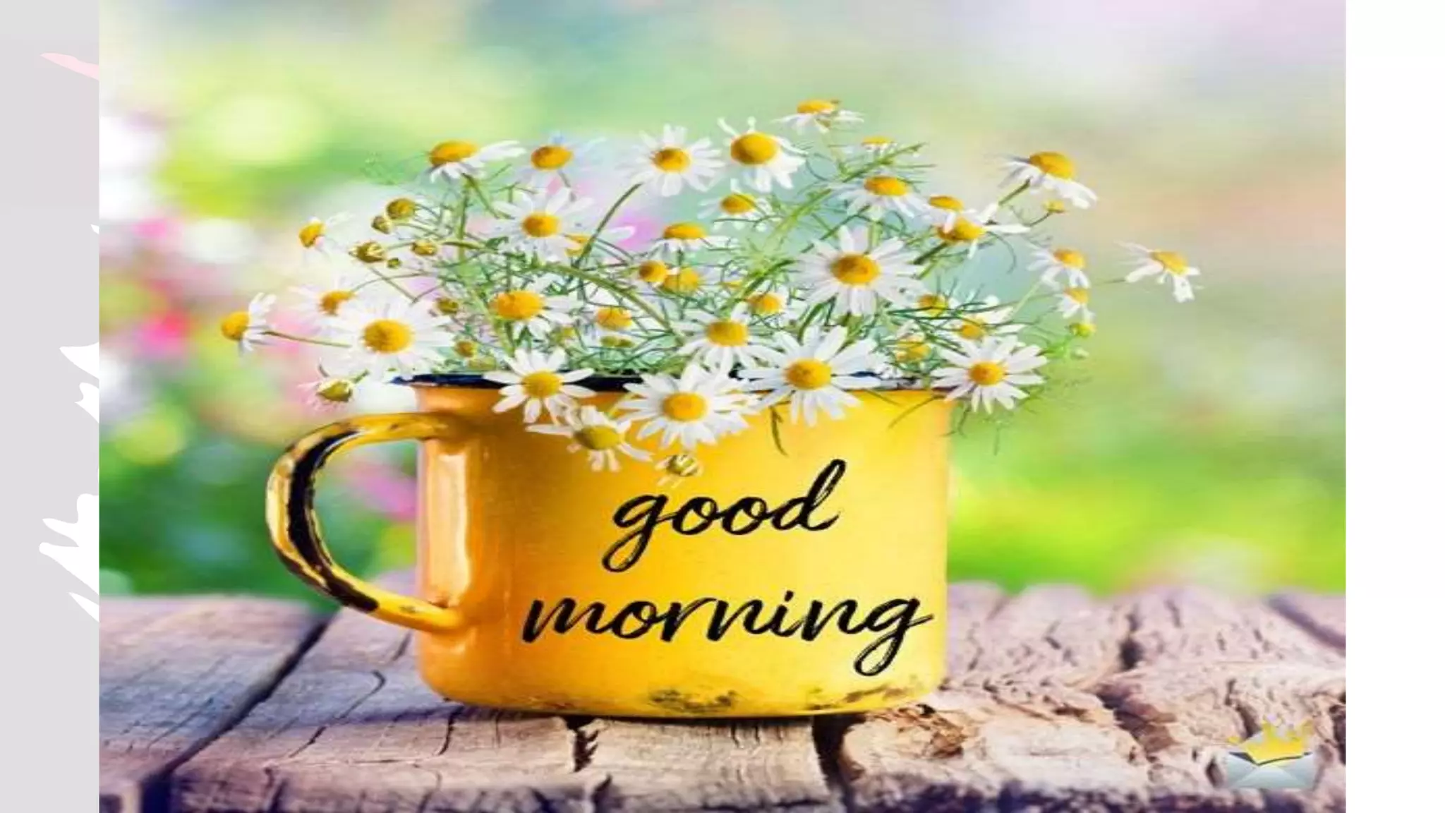 Healthcare Professionals.pptx