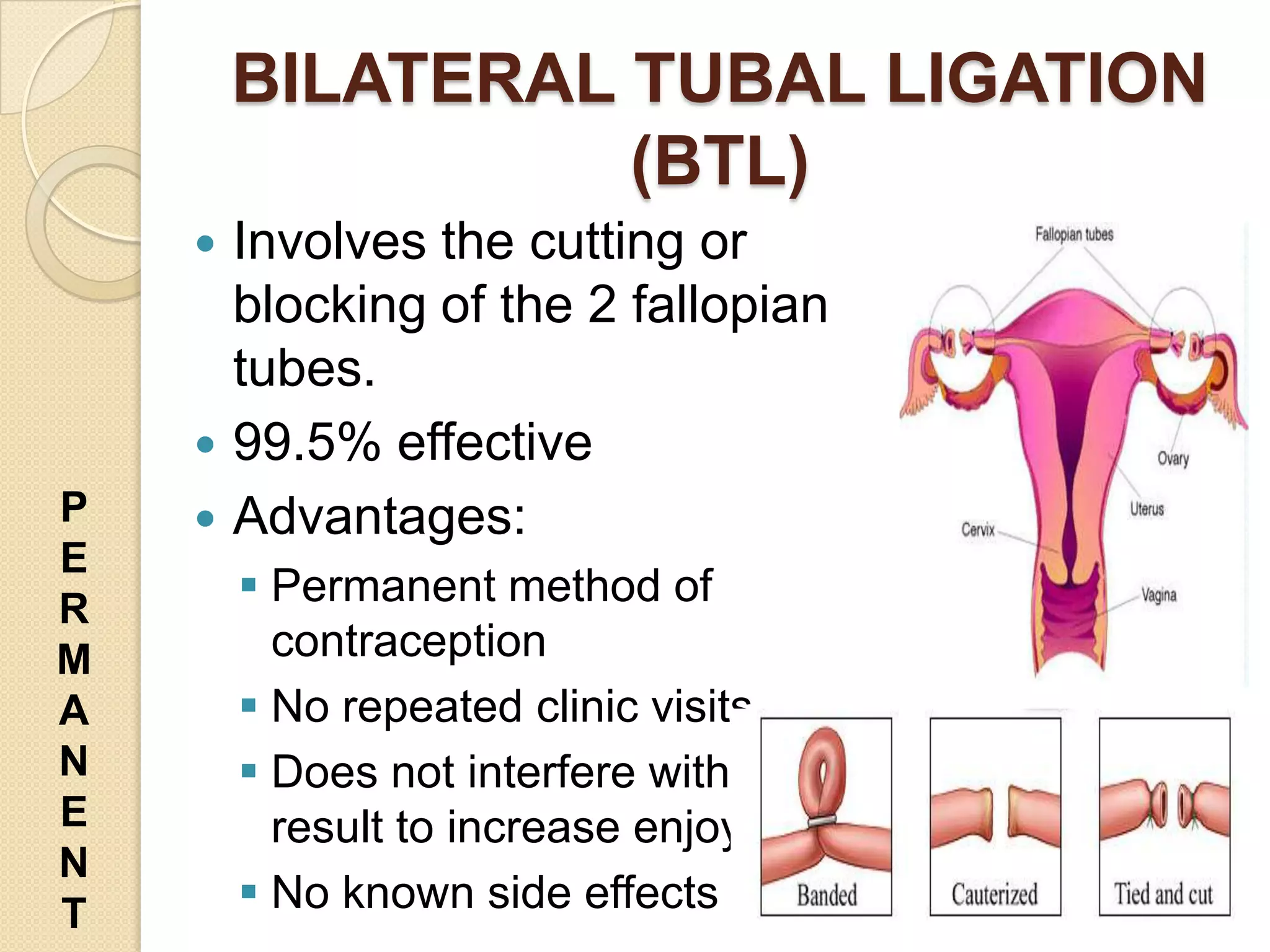 Health Care Programs | PPTX