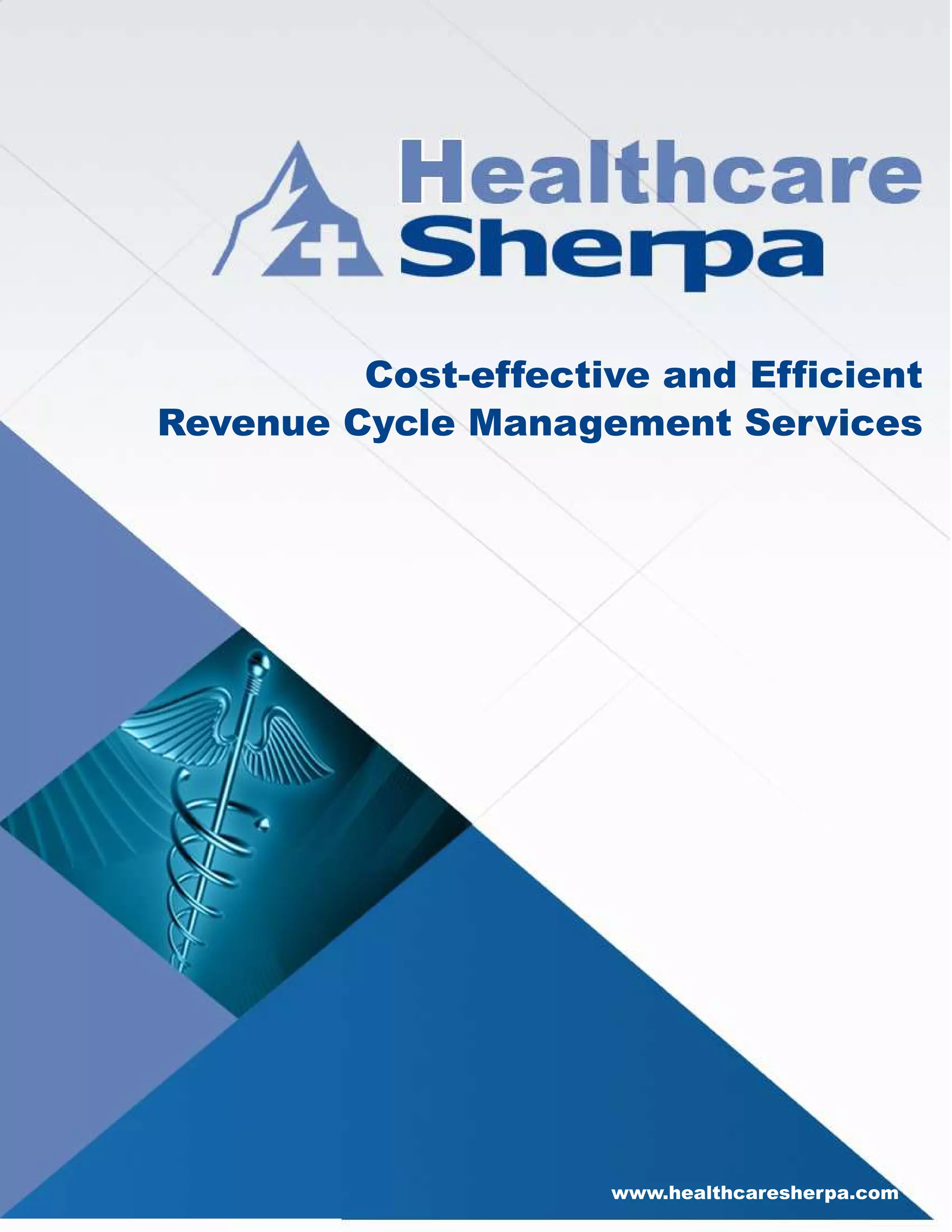 Healthcare sherpa brochure | PDF