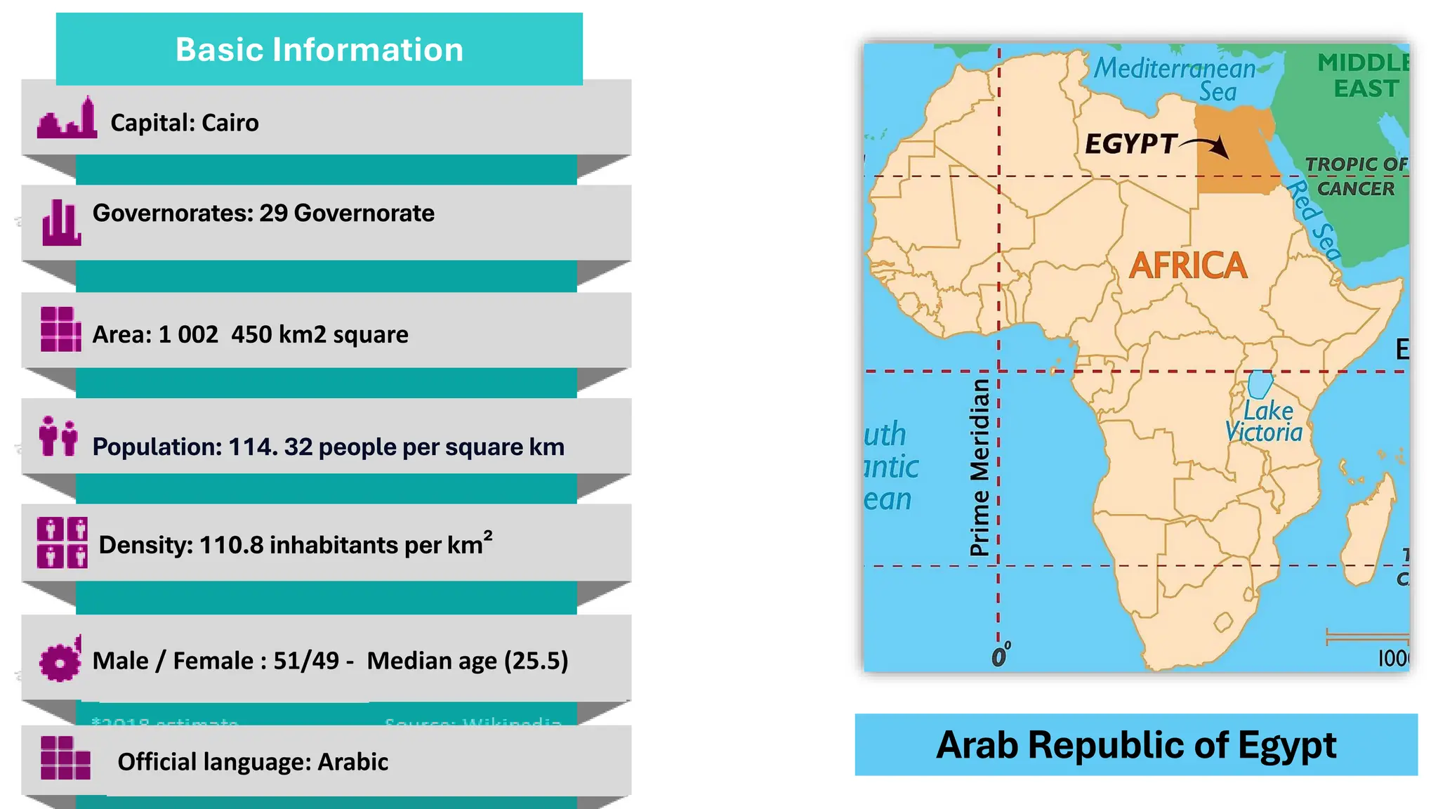 Healthcare system in Egypt (Egyptian healthcare system) | PDF
