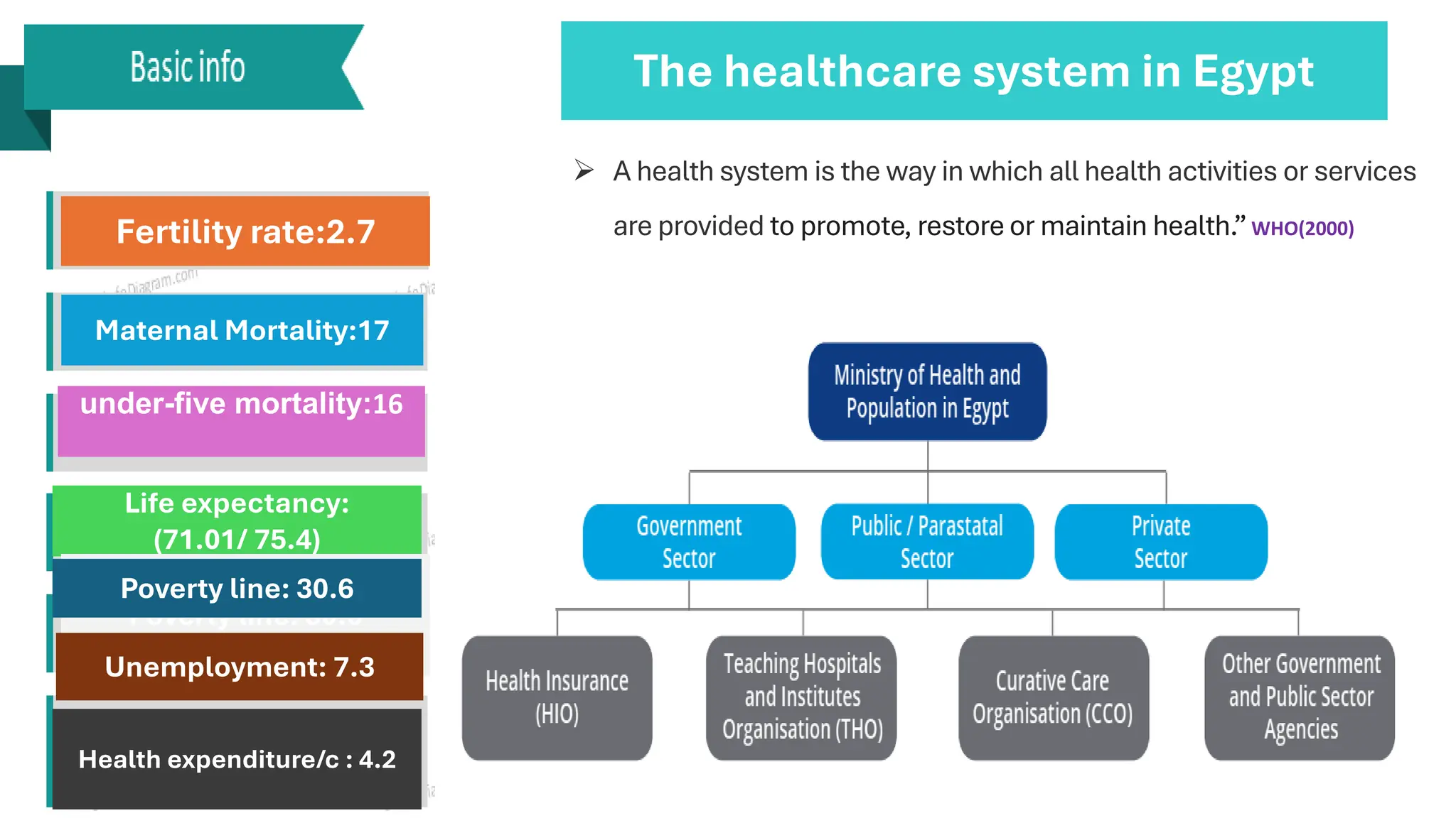Healthcare system in Egypt (Egyptian healthcare system) | PDF