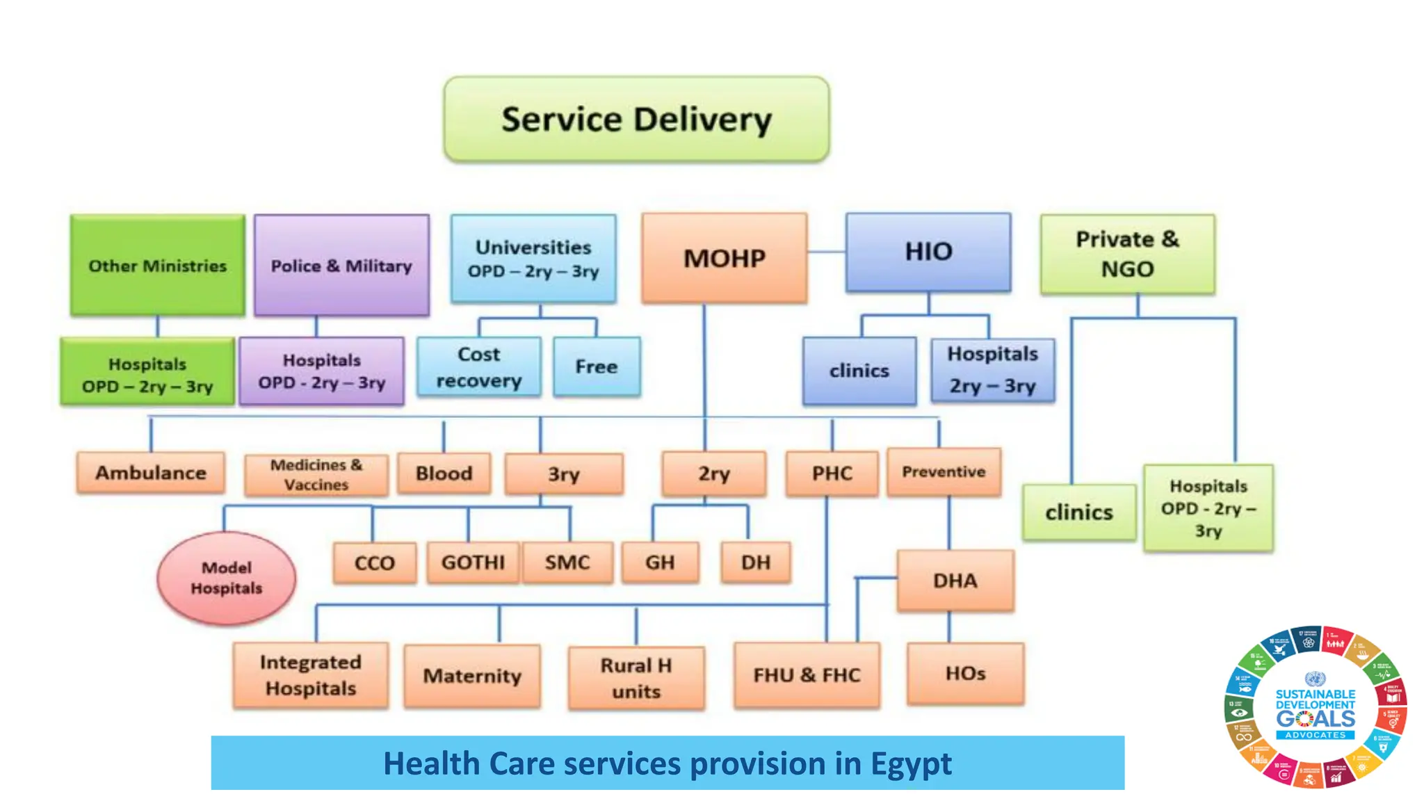 Healthcare system in Egypt (Egyptian healthcare system) | PDF