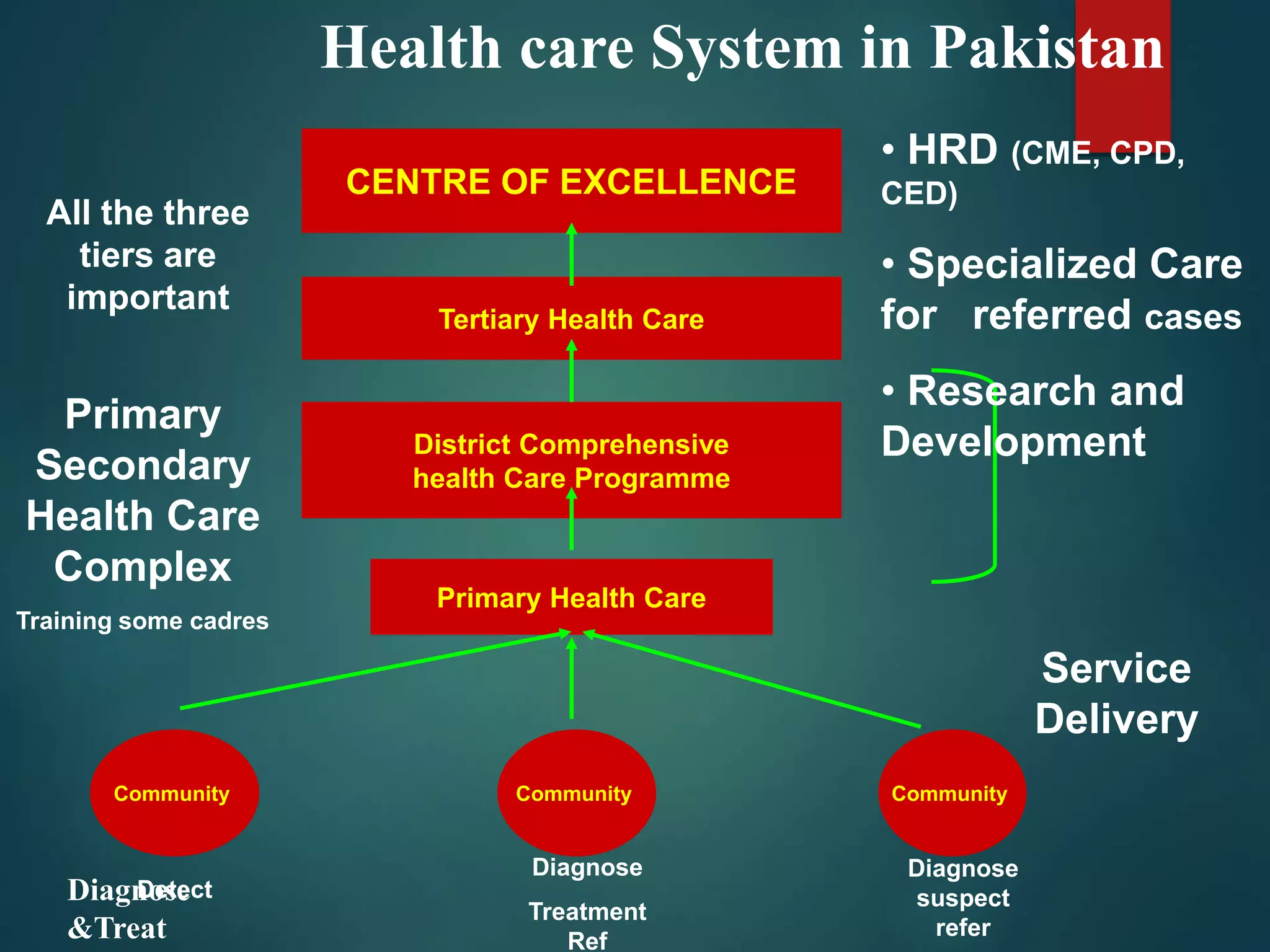 Health care system in pakistan | PPTX