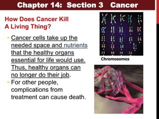 Cancer Basics | PPTX