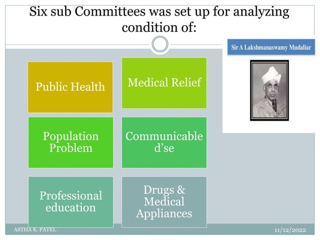 HEALTH COMMITTEES IN COMMUNITY HEALTH NURSING | PPTX | Infectious ...
