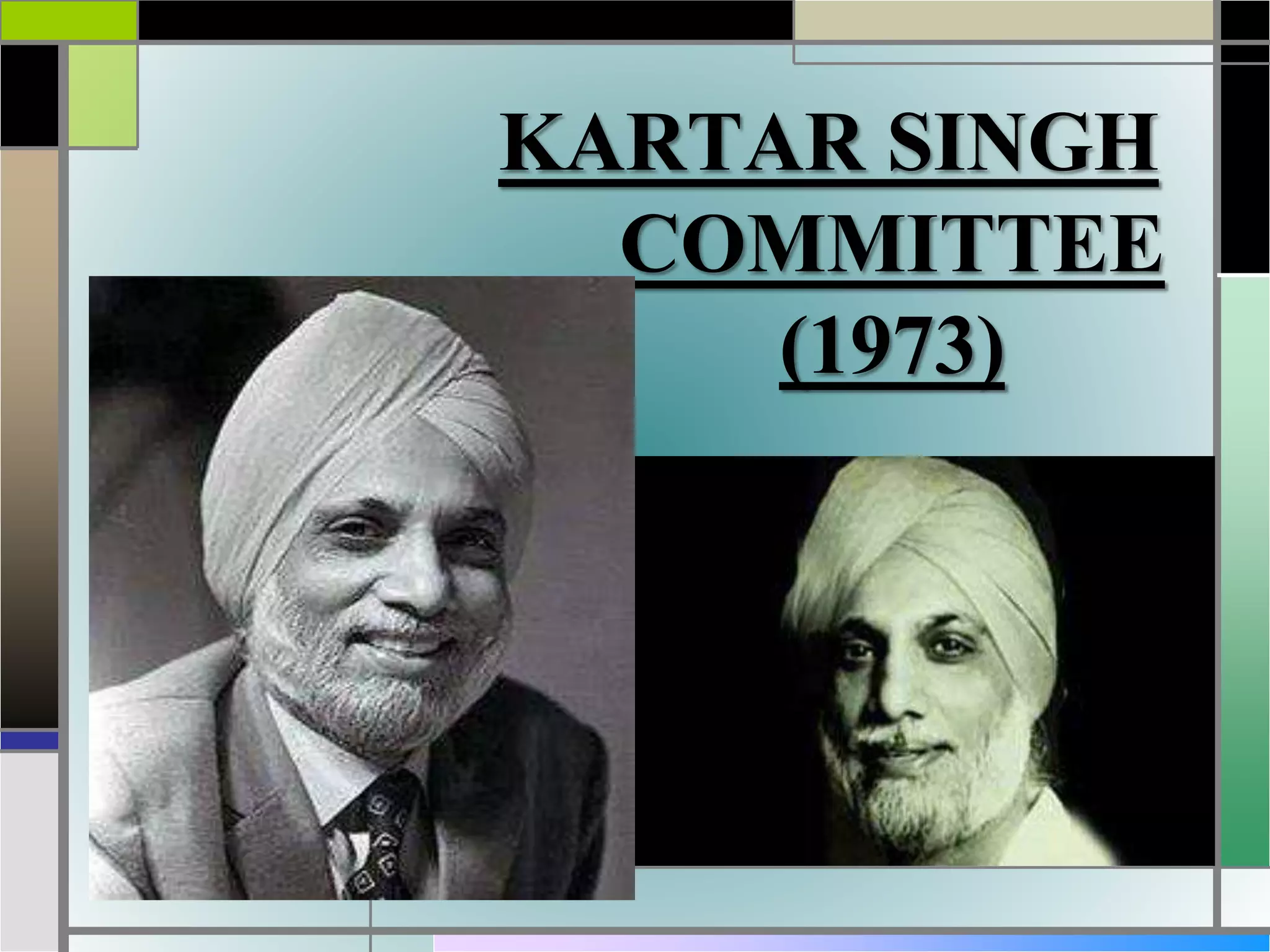 Health committees ppt | PPTX