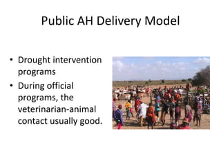 Delivery of animal health services in extensive livestock production ...