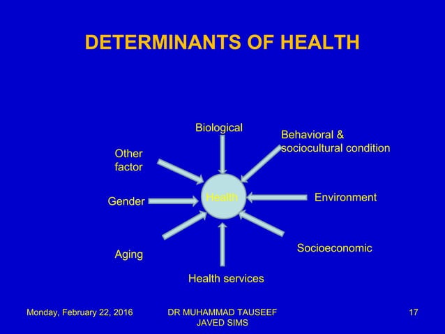 Health determinants and indicators | PPT | Healthy Living