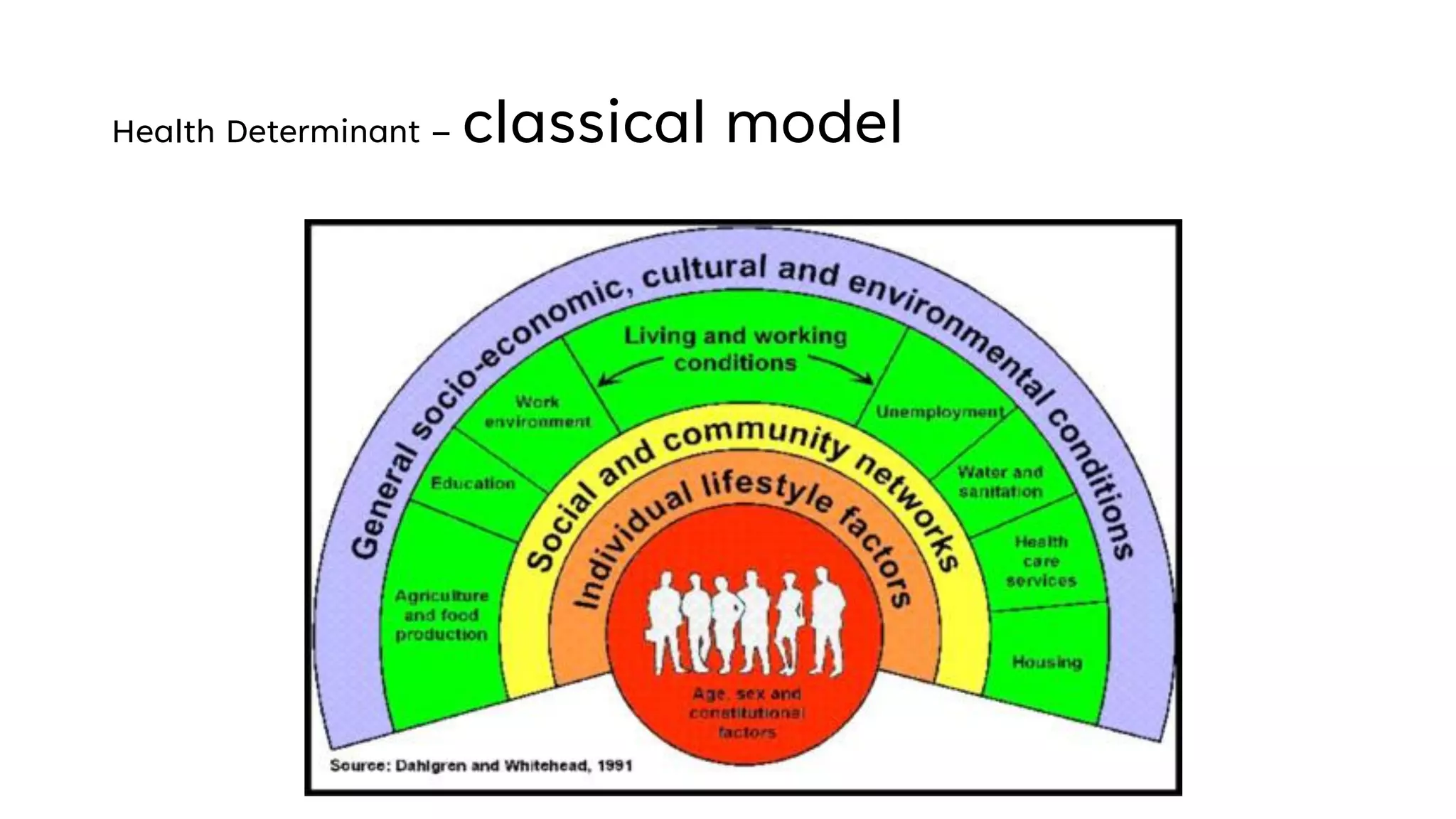 Health Determinants | PDF