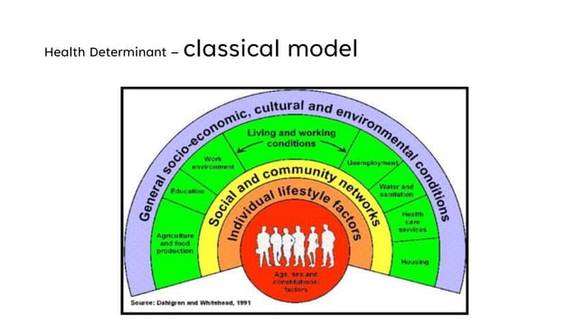Health Determinants | PPT