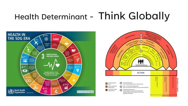 Health Determinants | PPT