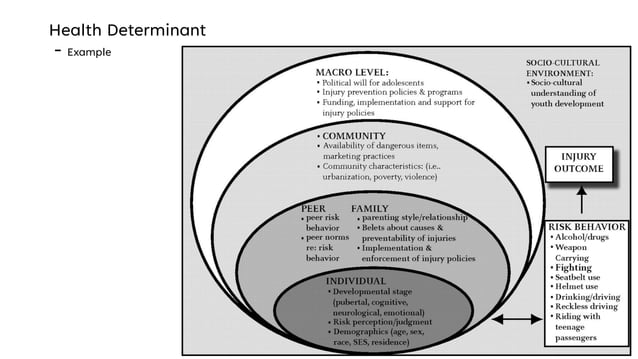 Health Determinants | PPT