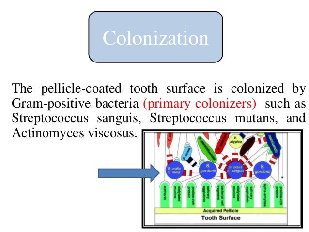 Health Education in Plaque Control.pptx 1.pptx