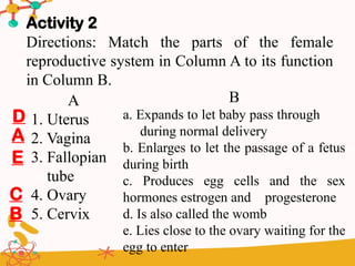 Health Education Parts and Functions of Reproductive System.pptx