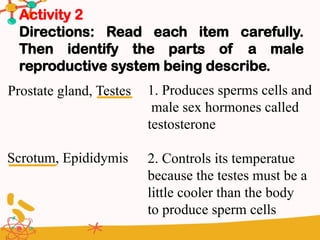 Health Education Parts and Functions of Reproductive System.pptx