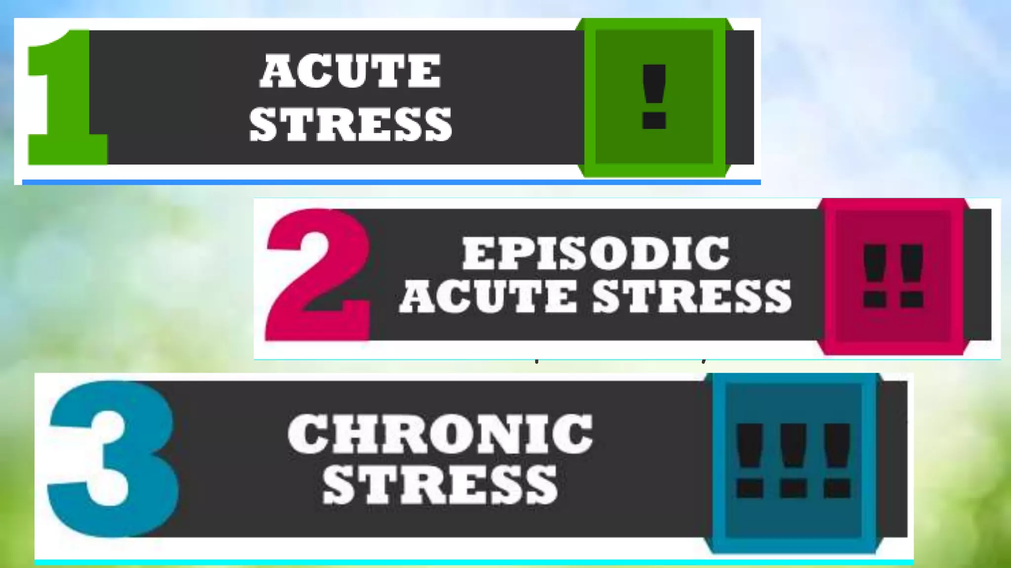 Health enhancing physical activities | PPTX