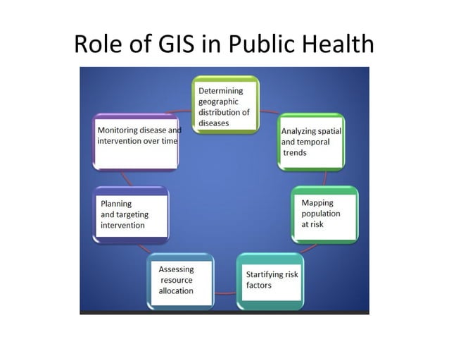 Health GIS (Geographic Information System) | PPT | Geography | Science